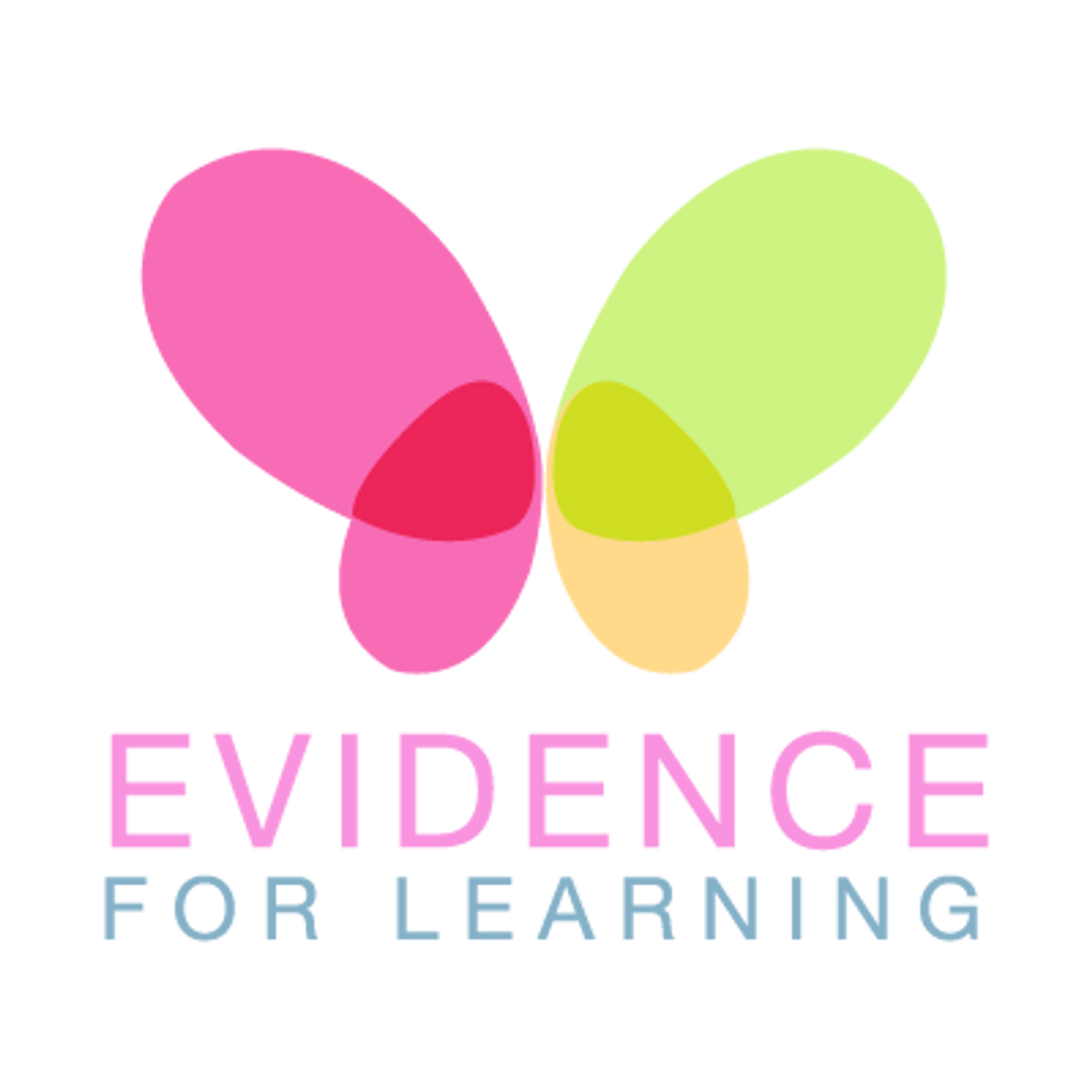 Evidence for learning | Palmerston School
